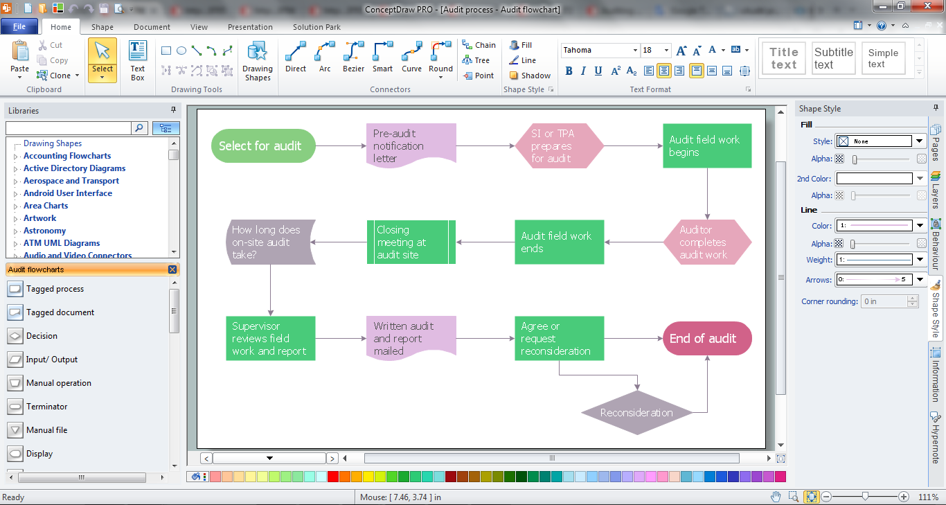 Audit Process Audit Process