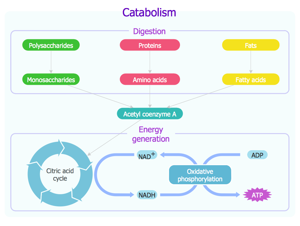 Metabolic Pathway Map Biochemical Diagram Biology Biology Drawing Metabolic Pathway Map Biochemical Diagram Biology Biology Drawing
