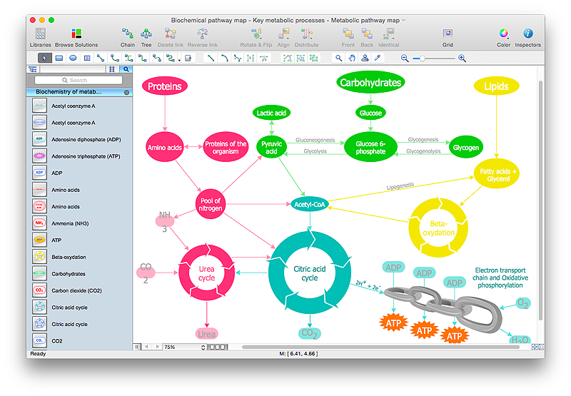 How to Draw Biology Diagram in ConceptDraw PRO | Biology | Biology ...