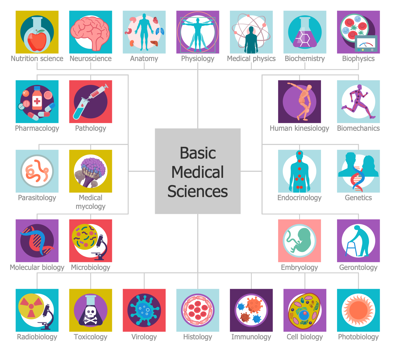 Health Sciences Solution ConceptDraw